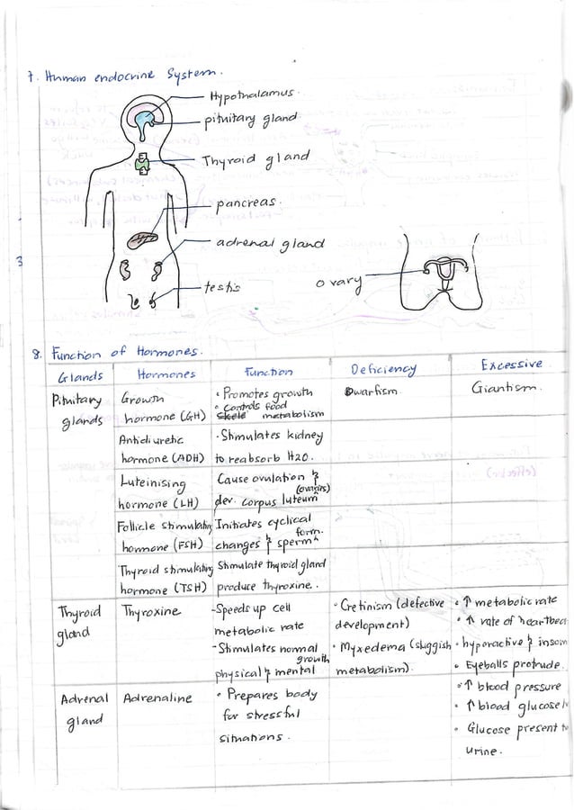 Nota Biologi Form 5 Bab 3 (English) 2015 | PDF