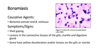 Notable Diseases of Shellfish | PPTX