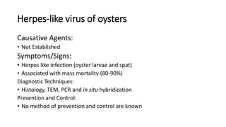 Notable Diseases of Shellfish | PPTX