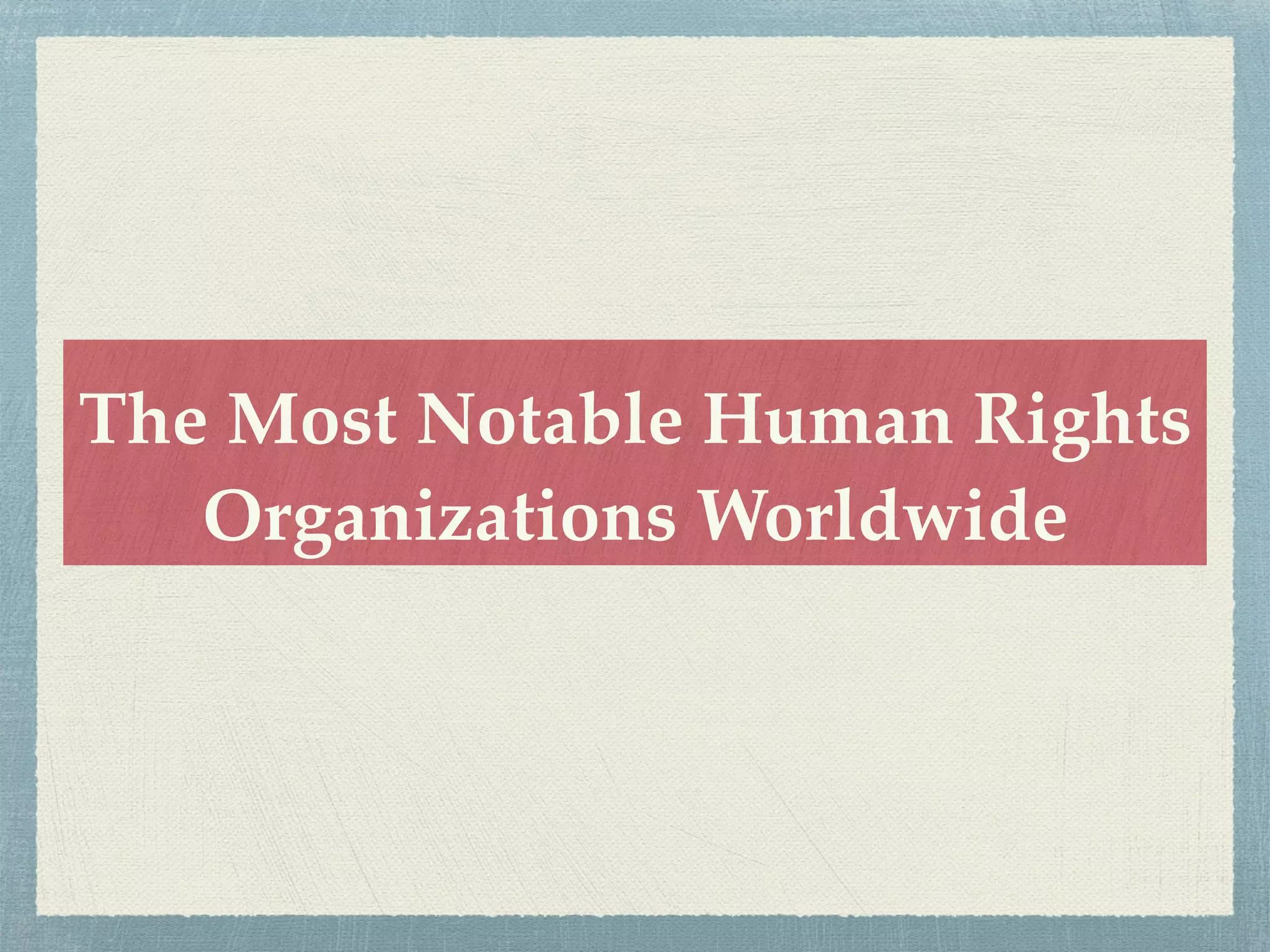 Notable International Human Rights Organizations | PDF