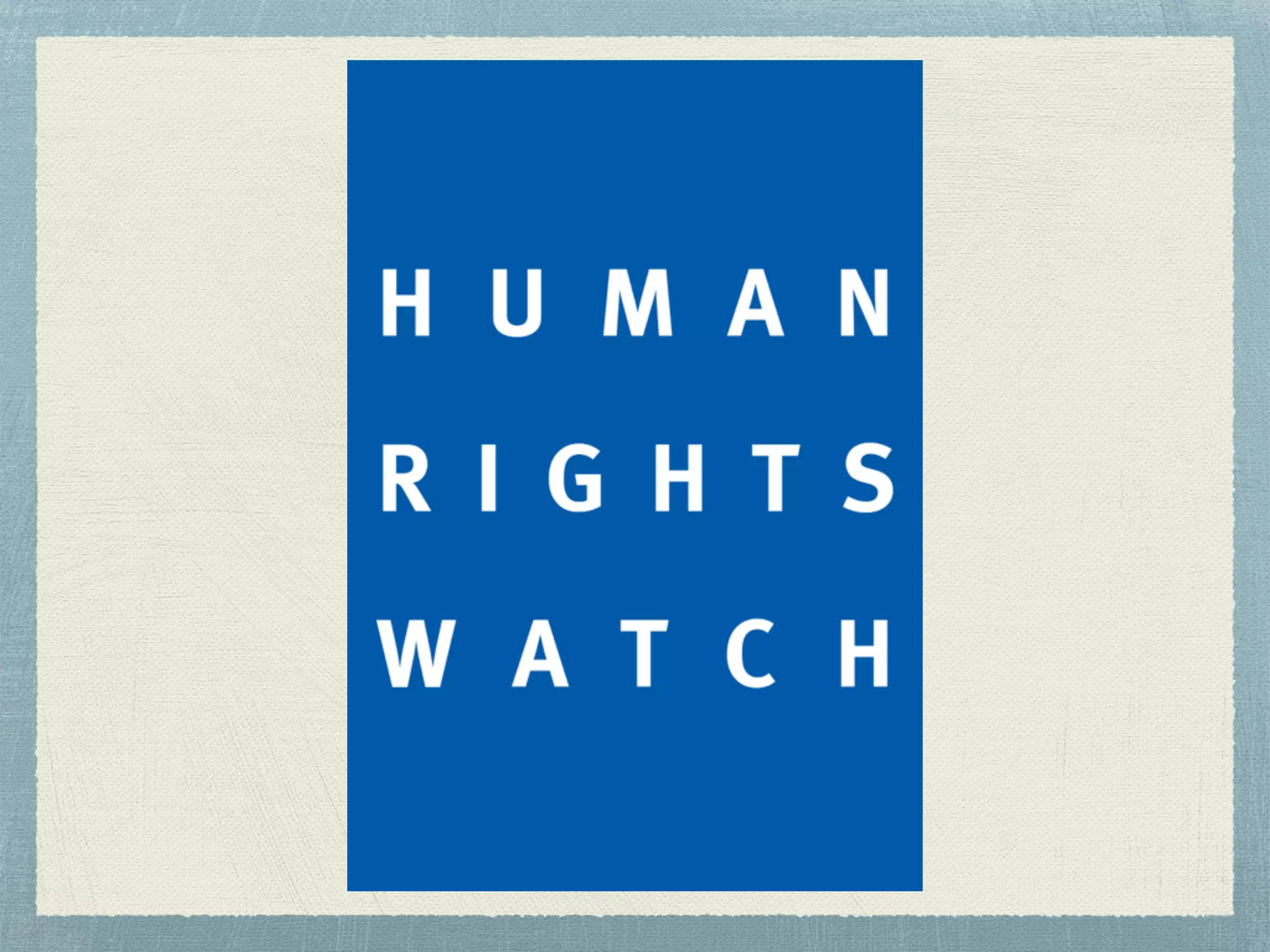 Notable International Human Rights Organizations | PDF