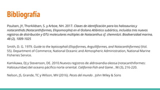 Peces: Orden Notacanthiformes (Halosaurios) | PPTX