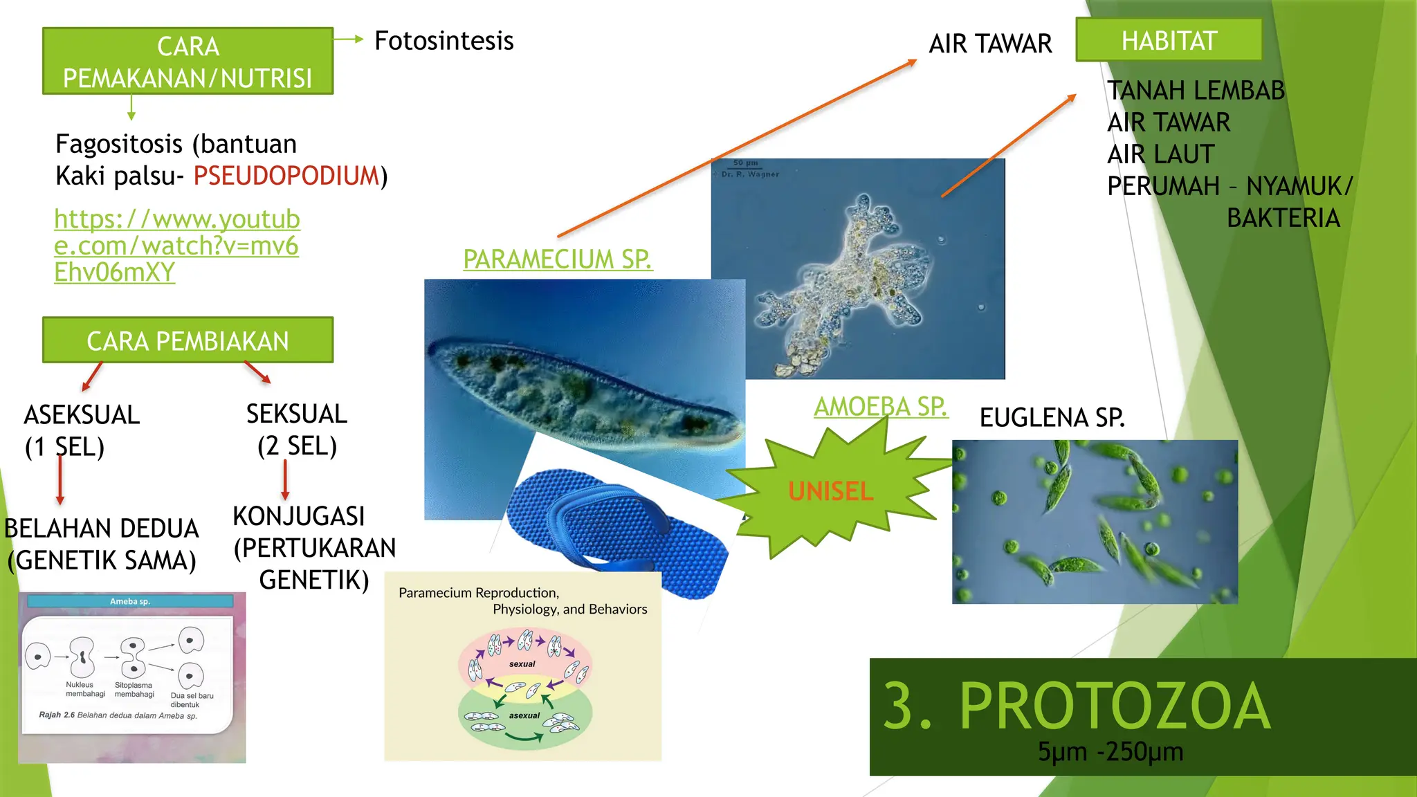 NOTA CHAP 1 dunia mikroorganisma PPT.pptx