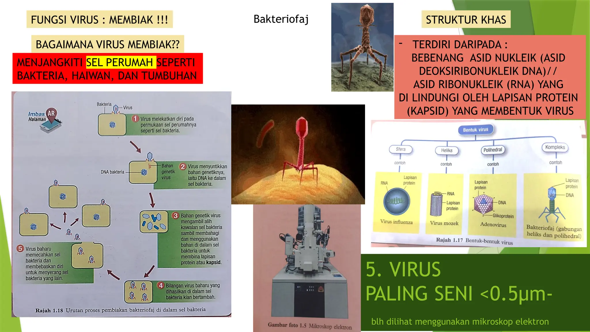 NOTA CHAP 1 dunia mikroorganisma PPT.pptx