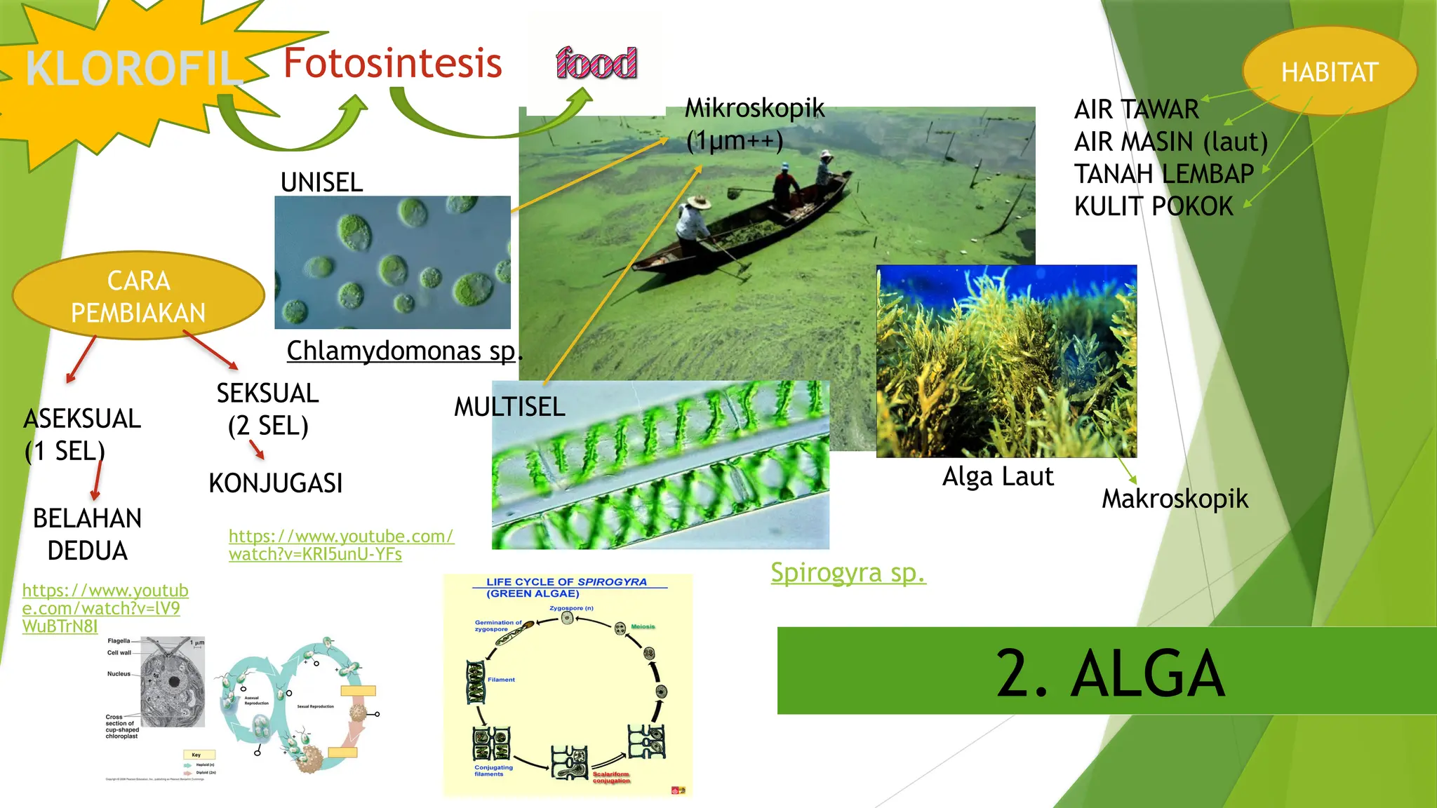 NOTA CHAP 1 dunia mikroorganisma PPT.pptx