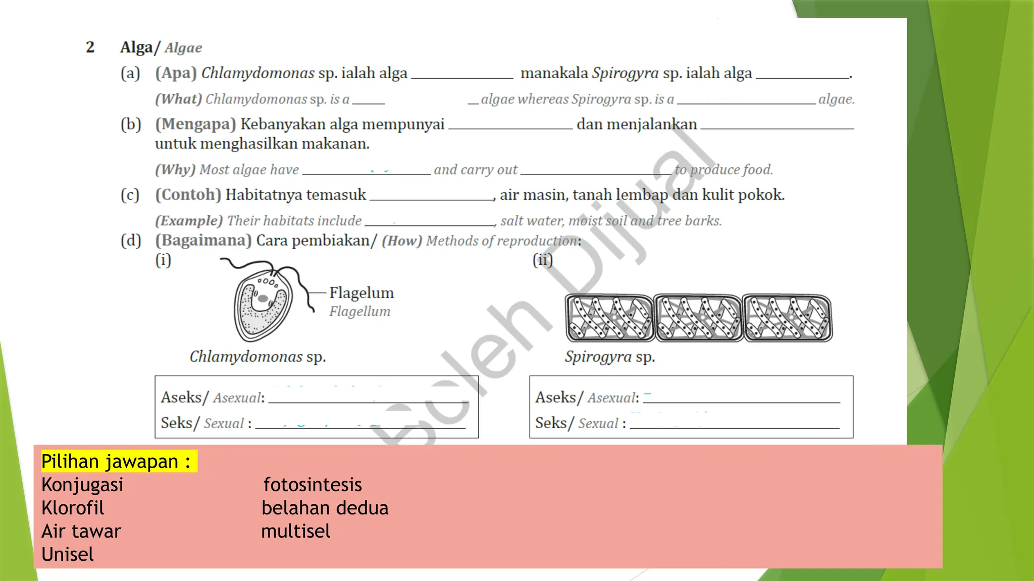 NOTA CHAP 1 dunia mikroorganisma PPT.pptx