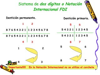 Notación Dentaria Ingrid Diaz | PPT