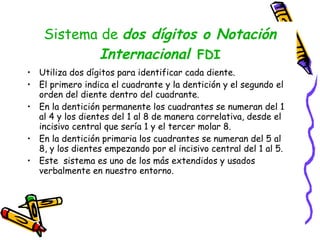 Notación Dentaria Ingrid Diaz | PPT