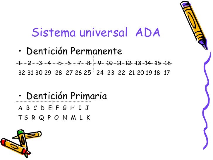 Notación Dentaria Ingrid Diaz