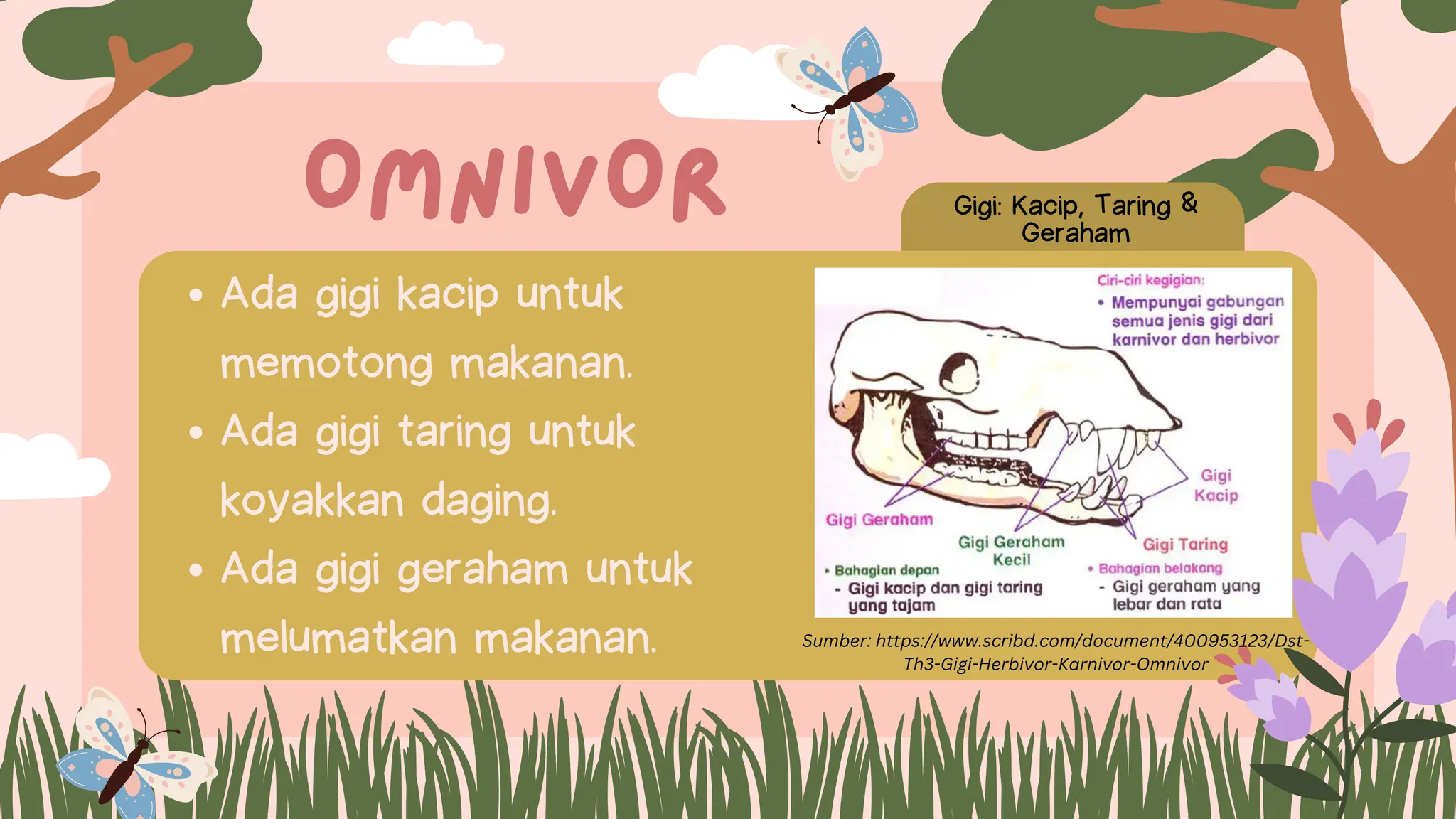 Nota Digital Sains Tahun 3: Haiwan | PDF