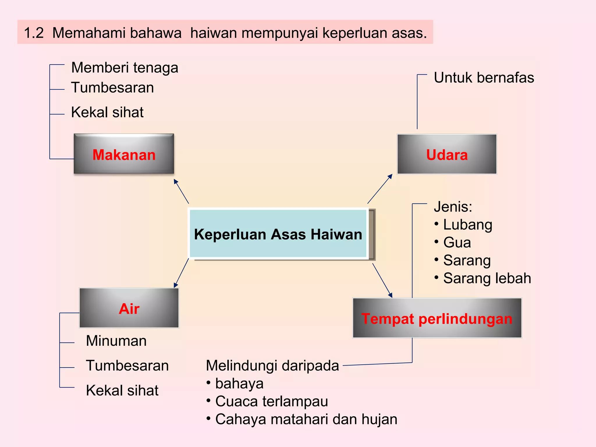 Nota keperluan asas haiwan | PPT