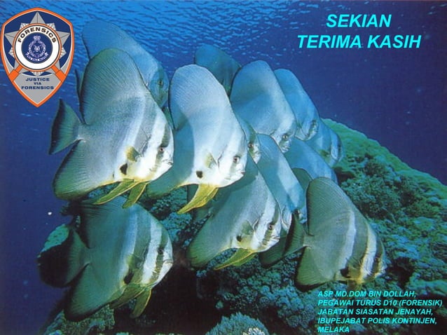 Kursus Asas Siasatan - Laporan Polis Maklumat Pertama (FIR) | PPT