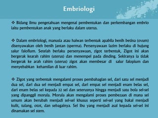 Hakikat Kejadian Manusia | PPTX