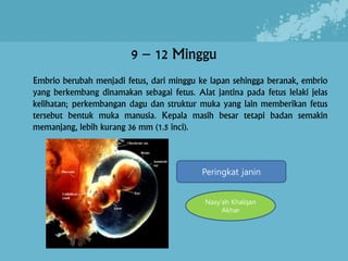 Hakikat Kejadian Manusia | PPTX