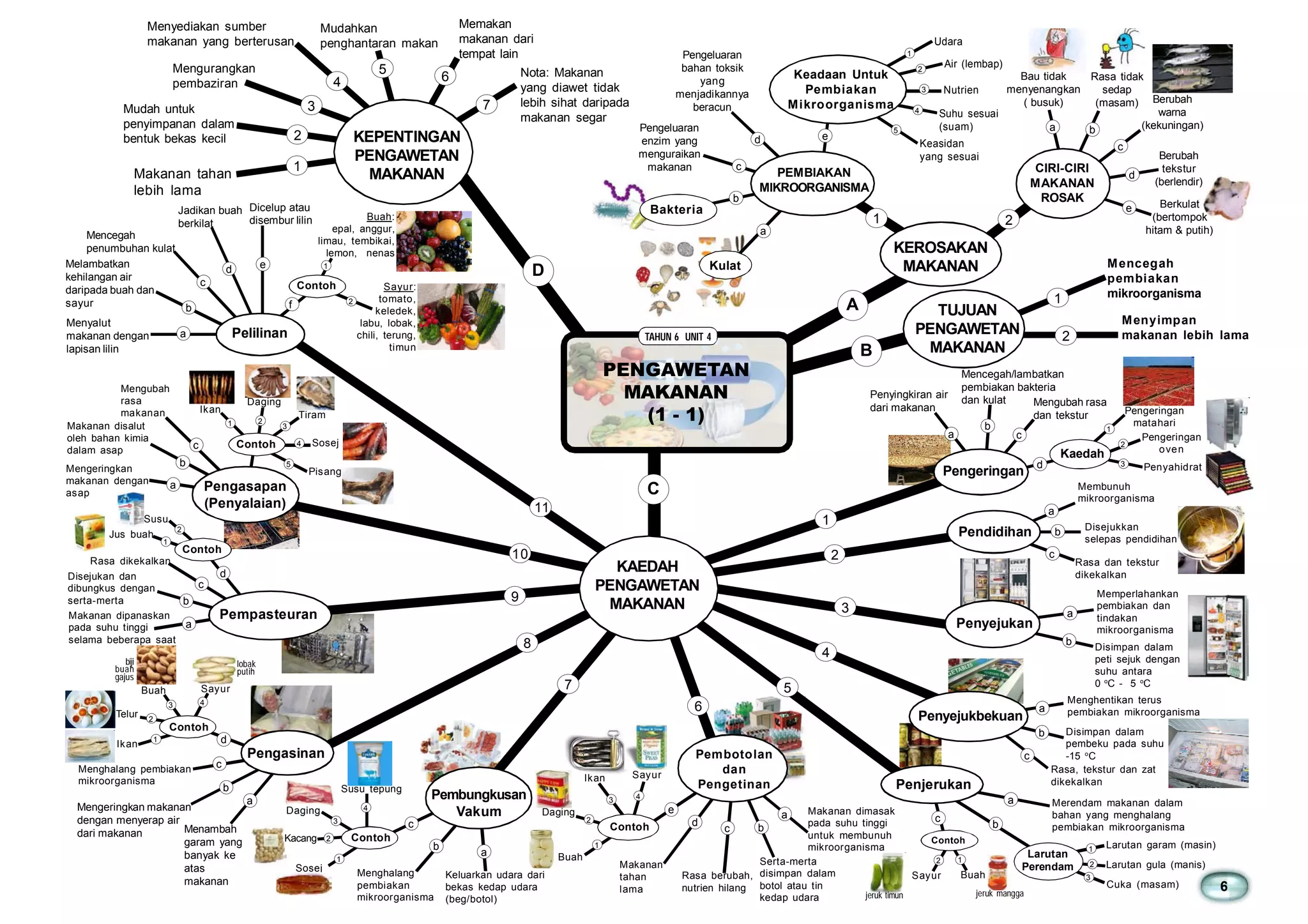 Nota minda sains tahun 6 | PDF