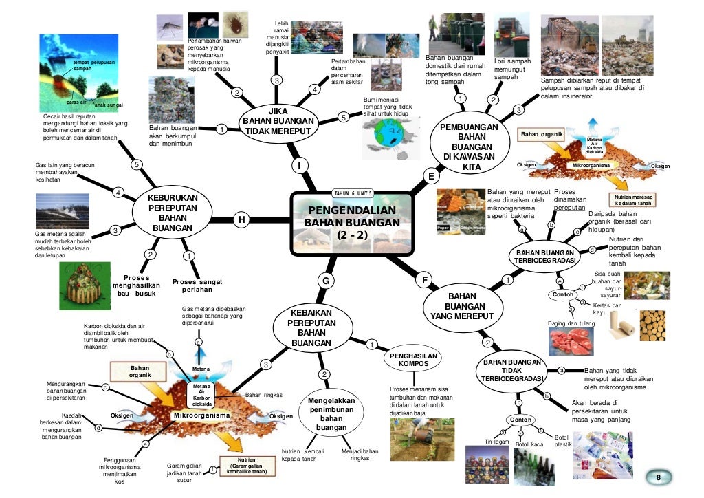 Nota minda sains tahun 6