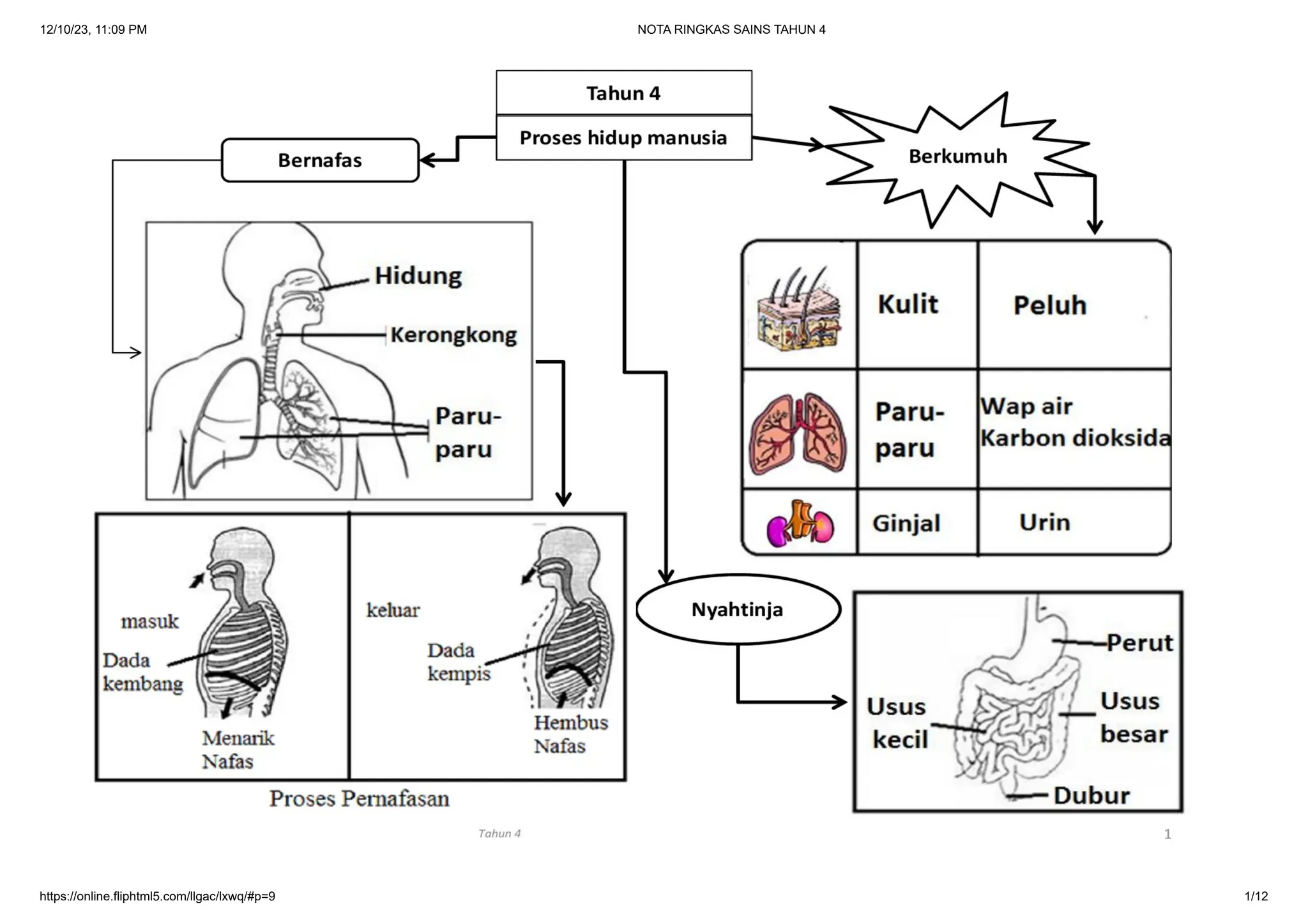 NOTA RINGKAS SAINS TAHUN 4 2023/2024.pdf