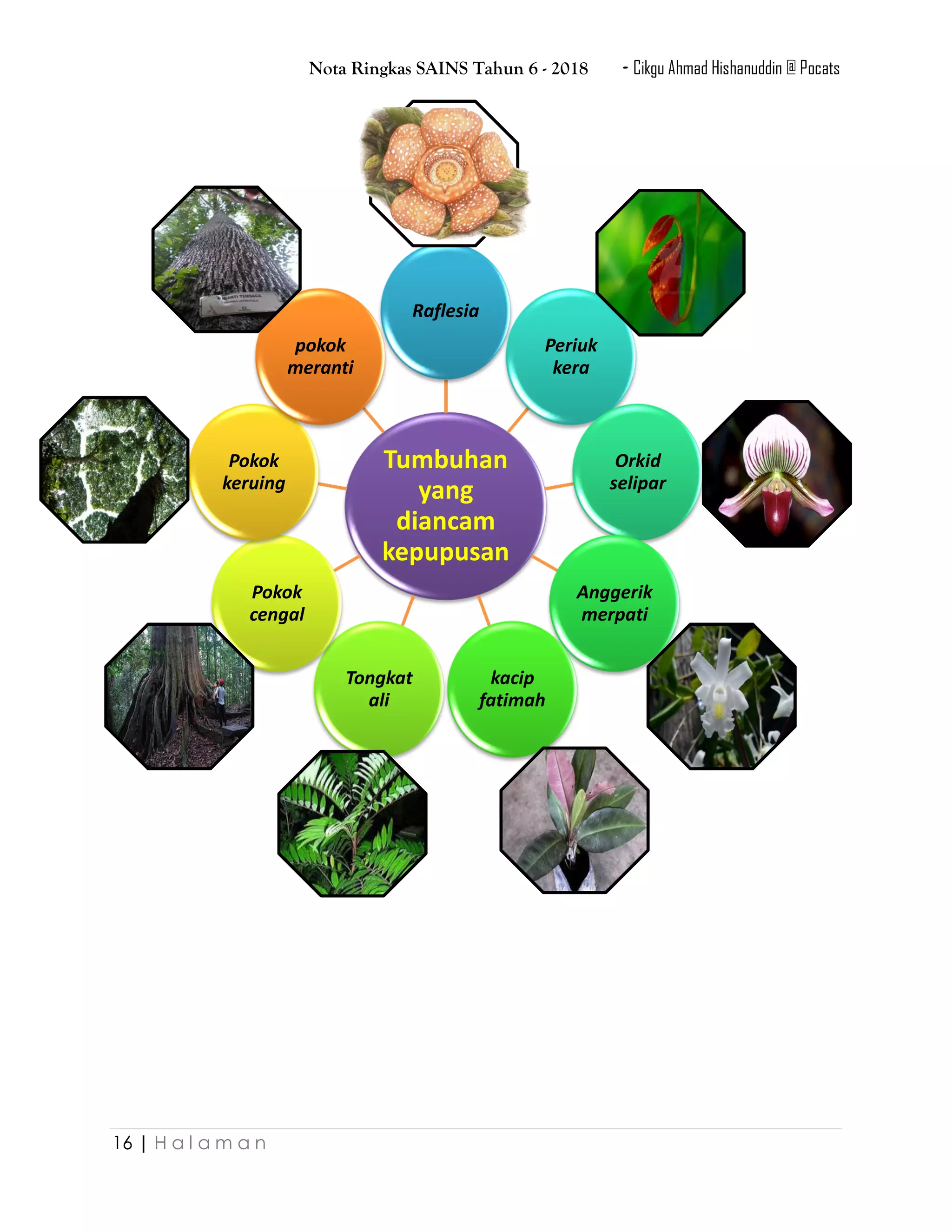 NOTA RINGKAS SAINS TAHUN 6.pdf