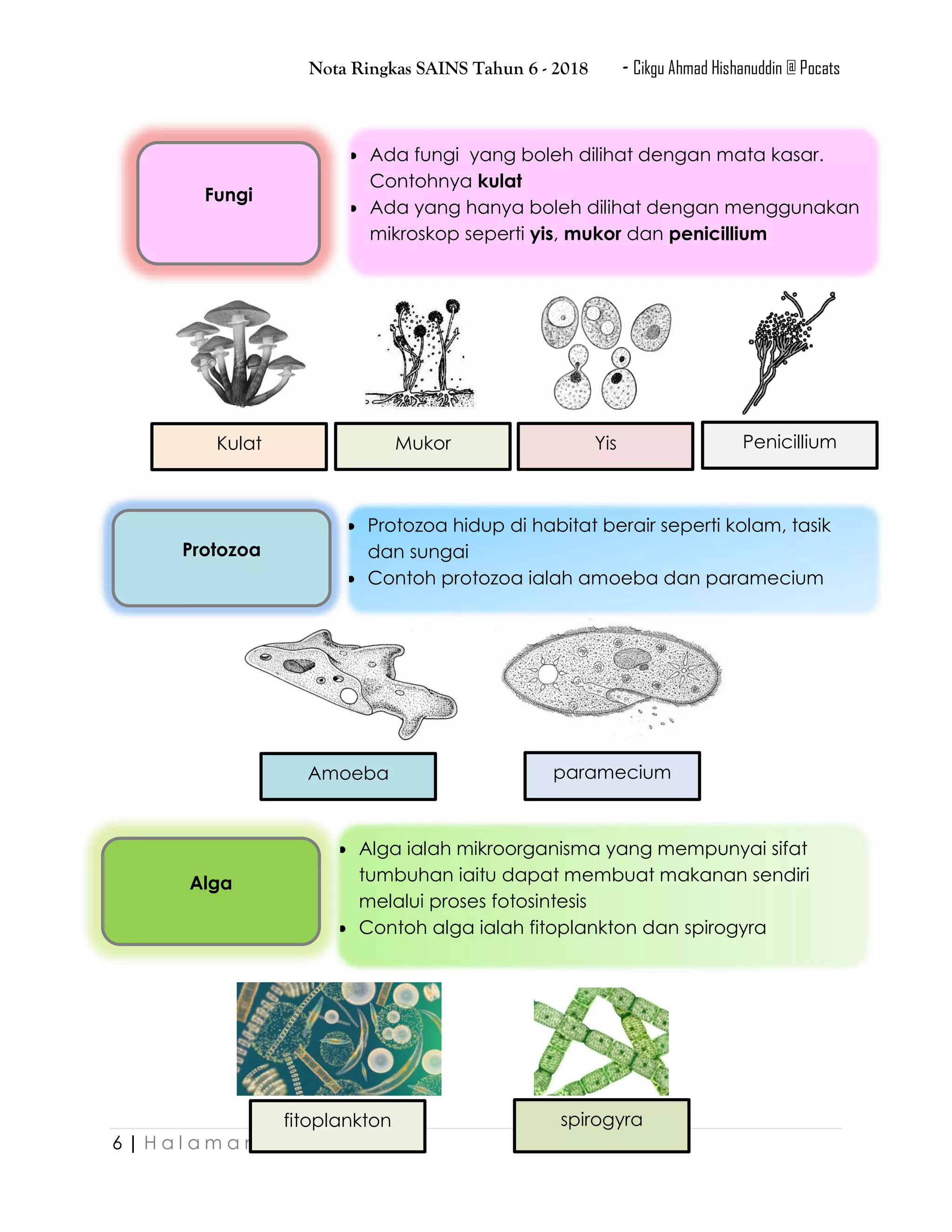 NOTA RINGKAS SAINS TAHUN 6.pdf