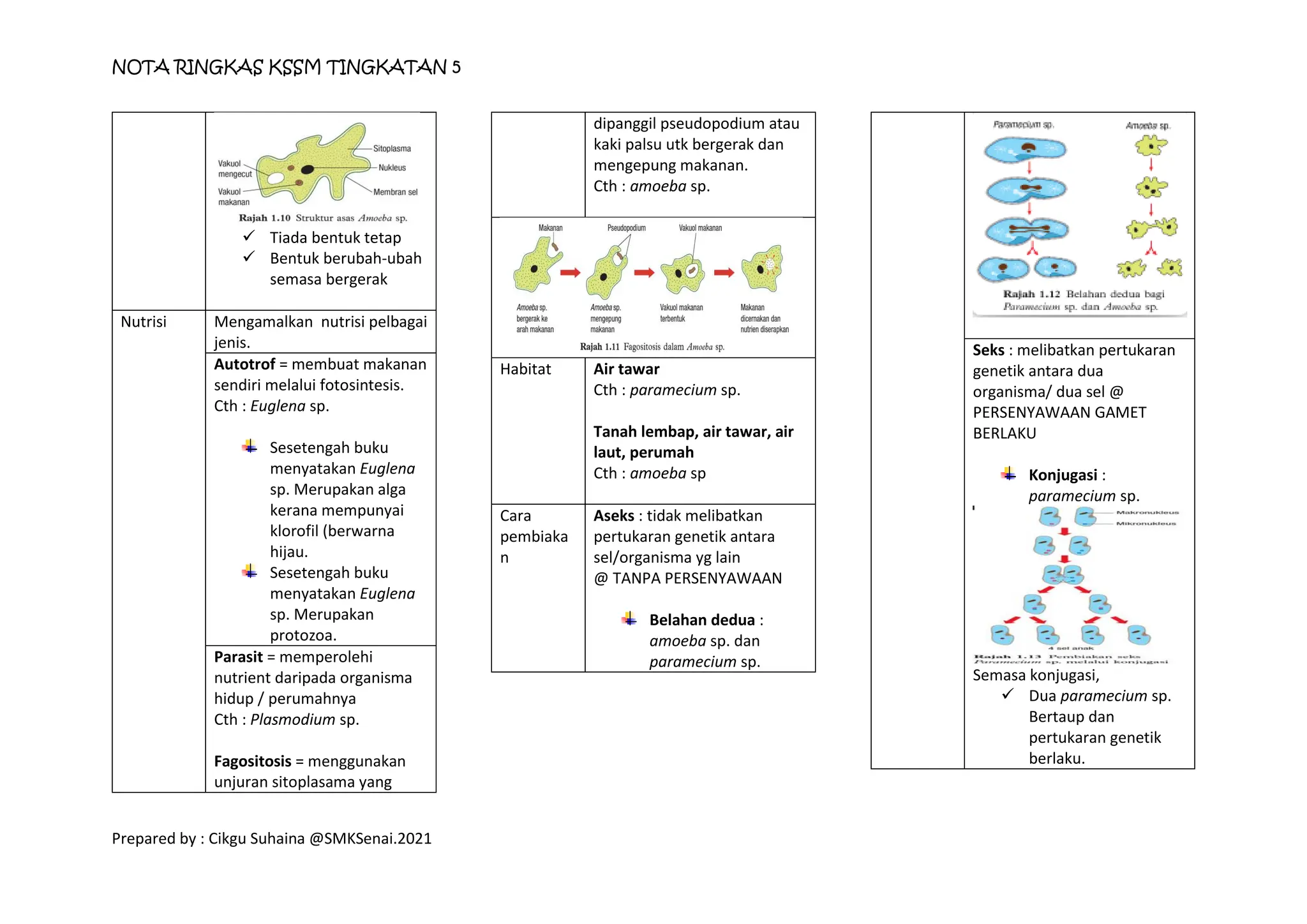 NOTA RINGKAS SAINS TINGKATAN 5.pdf