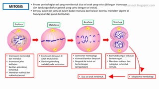NOTA SAINS BAB 5 GENETIK SPM TINGKATAN 4 | PDF