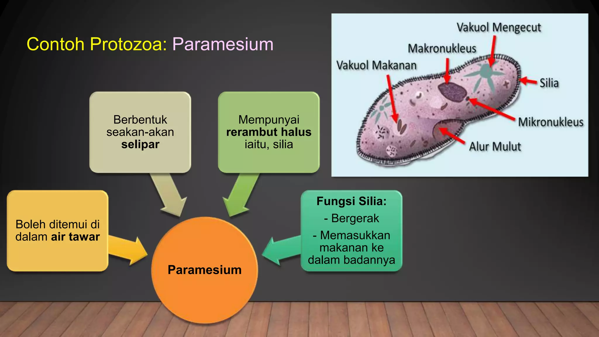 Bab 1 - Mikroorganisma dan Kesannya Terhadap Benda Hidup | PPTX