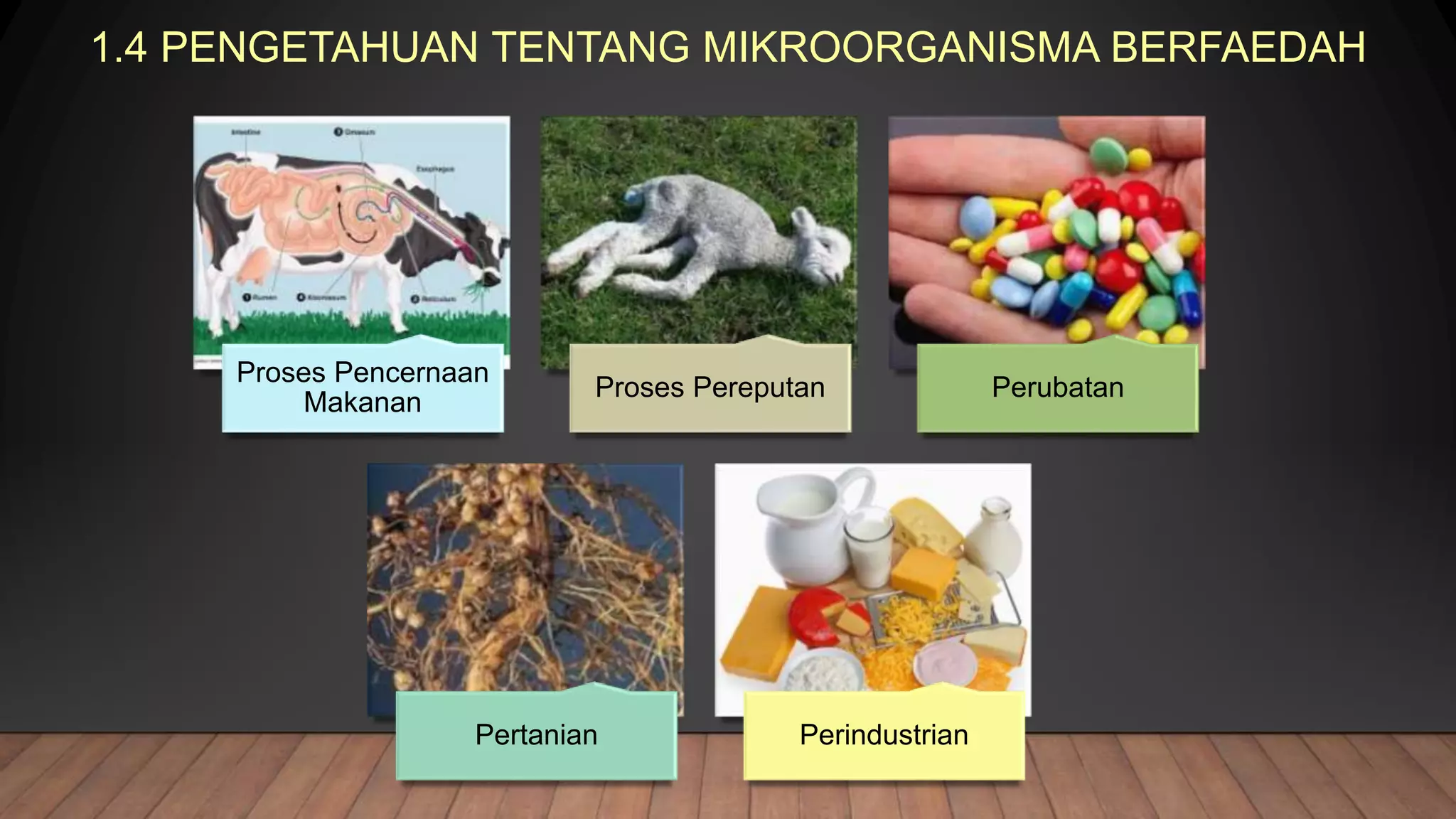 Bab 1 - Mikroorganisma dan Kesannya Terhadap Benda Hidup | PPTX
