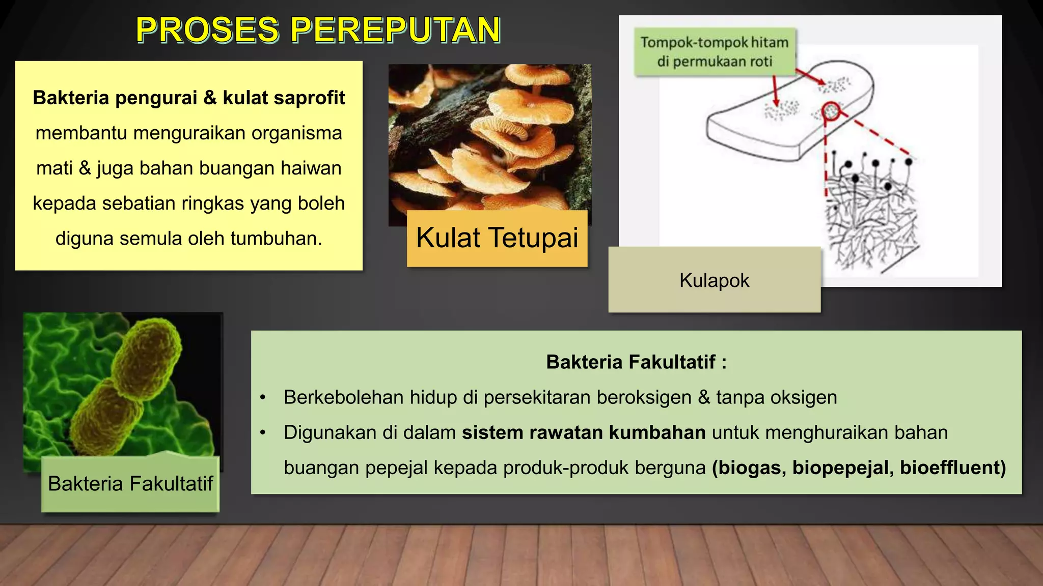 Bab 1 - Mikroorganisma dan Kesannya Terhadap Benda Hidup | PPTX