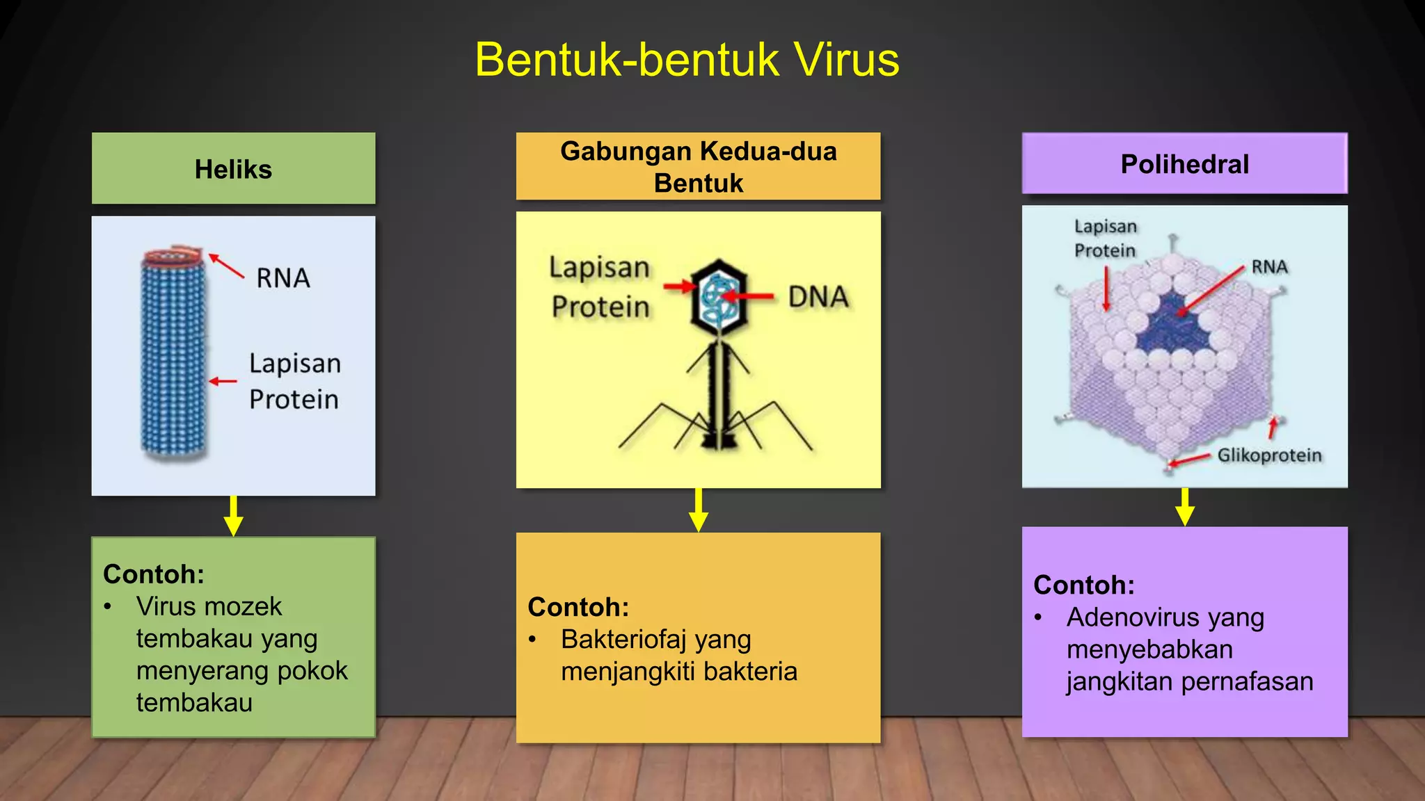 Bab 1 - Mikroorganisma dan Kesannya Terhadap Benda Hidup | PPTX