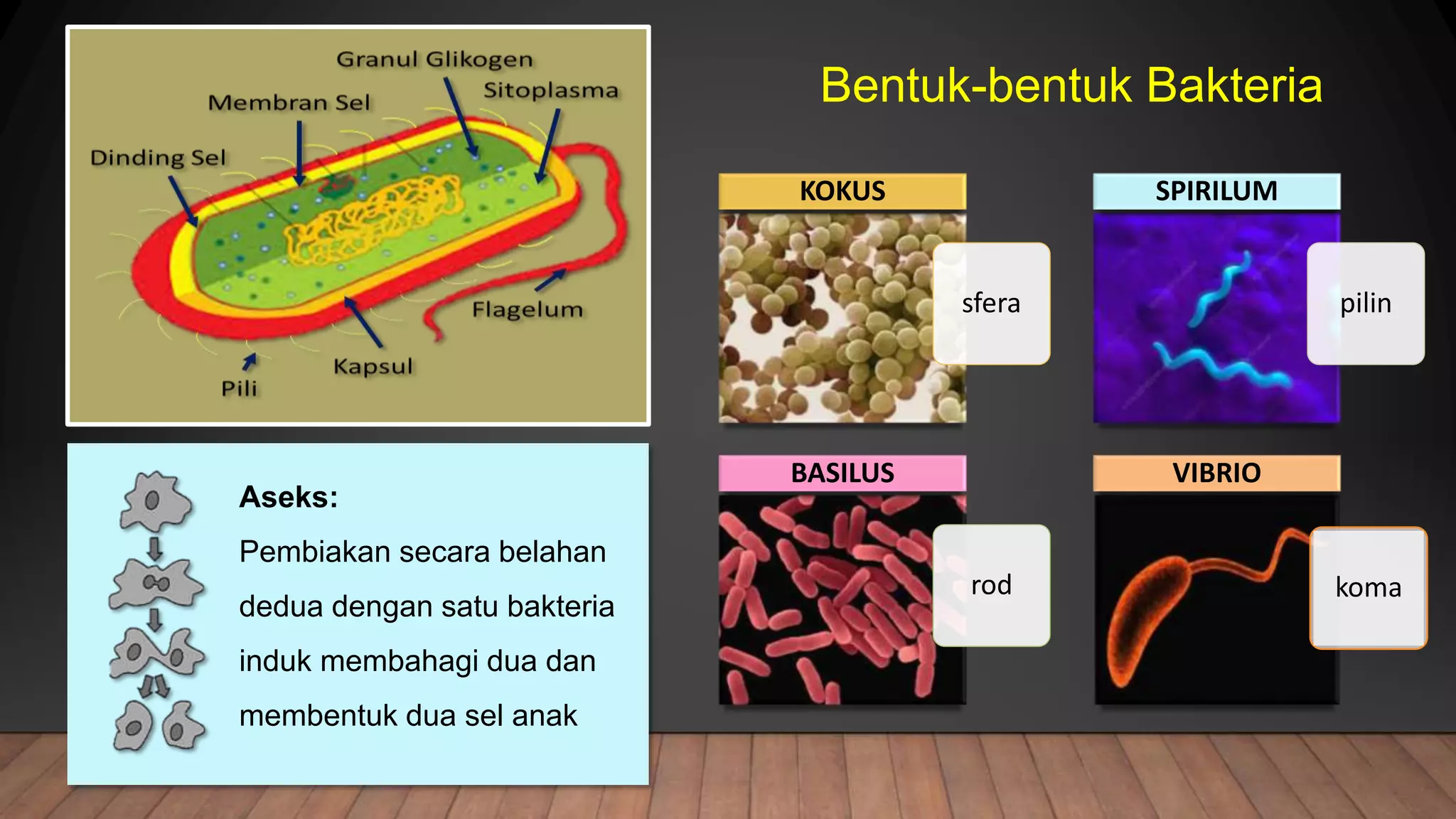 Bab 1 - Mikroorganisma dan Kesannya Terhadap Benda Hidup | PPTX