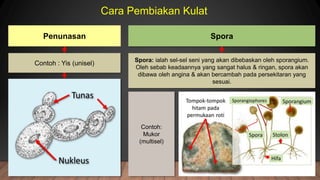 Bab 1 - Mikroorganisma dan Kesannya Terhadap Benda Hidup | PPTX