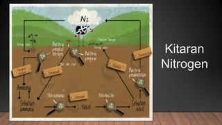 Bab 2 - Nutrisi dan Pengeluaran Makanan | PPTX