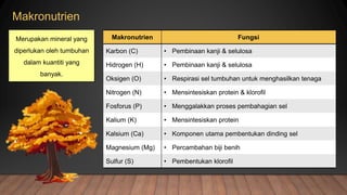 Bab 2 - Nutrisi dan Pengeluaran Makanan | PPTX