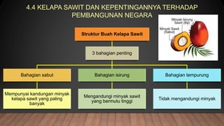 Bab 4 - Sebatian Karbon | PPTX