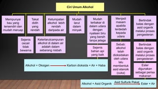 Bab 4 - Sebatian Karbon | PPTX