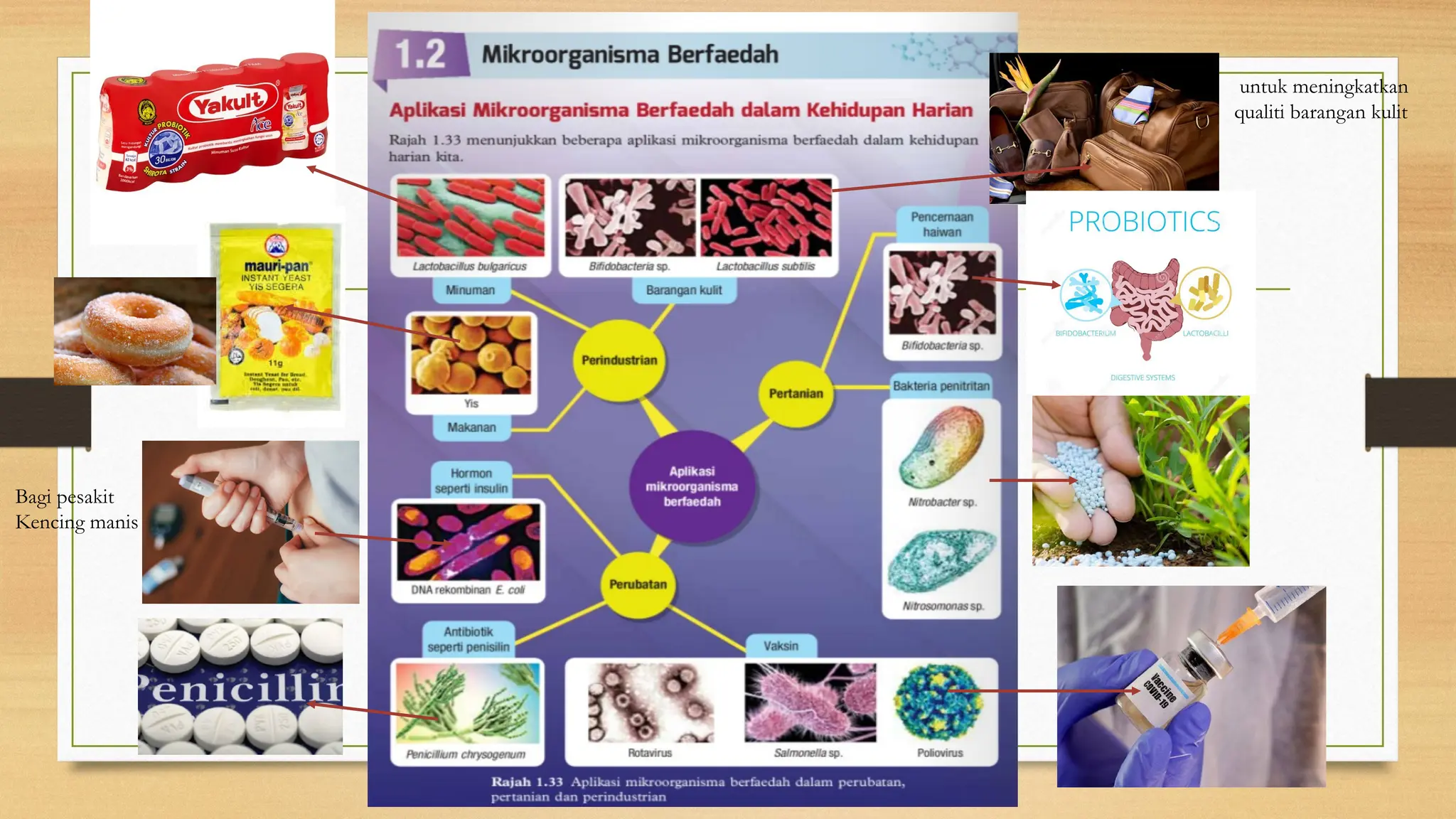 NOTA SAINS F5 1.2 mikroorganisma berfaedah.pptx