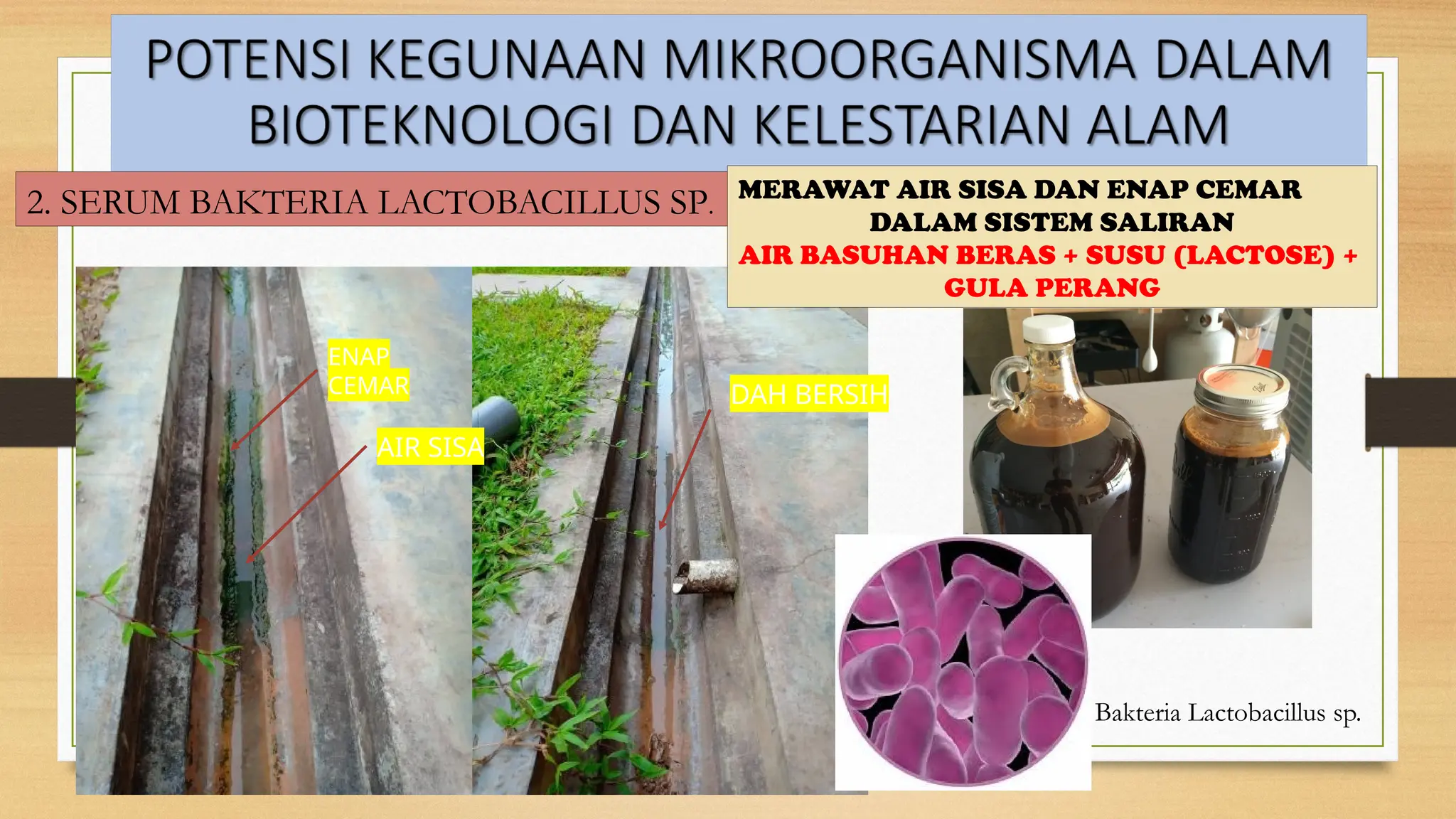 NOTA SAINS F5 1.2 mikroorganisma berfaedah.pptx