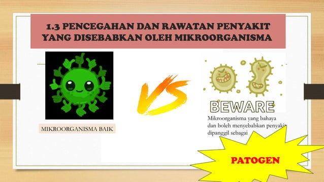 NOTA SAINS F5 1.2 mikroorganisma berfaedah.pptx