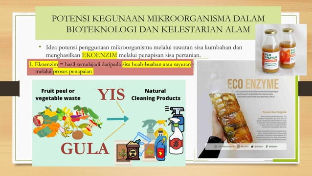 NOTA SAINS F5 1.2 mikroorganisma berfaedah.pptx