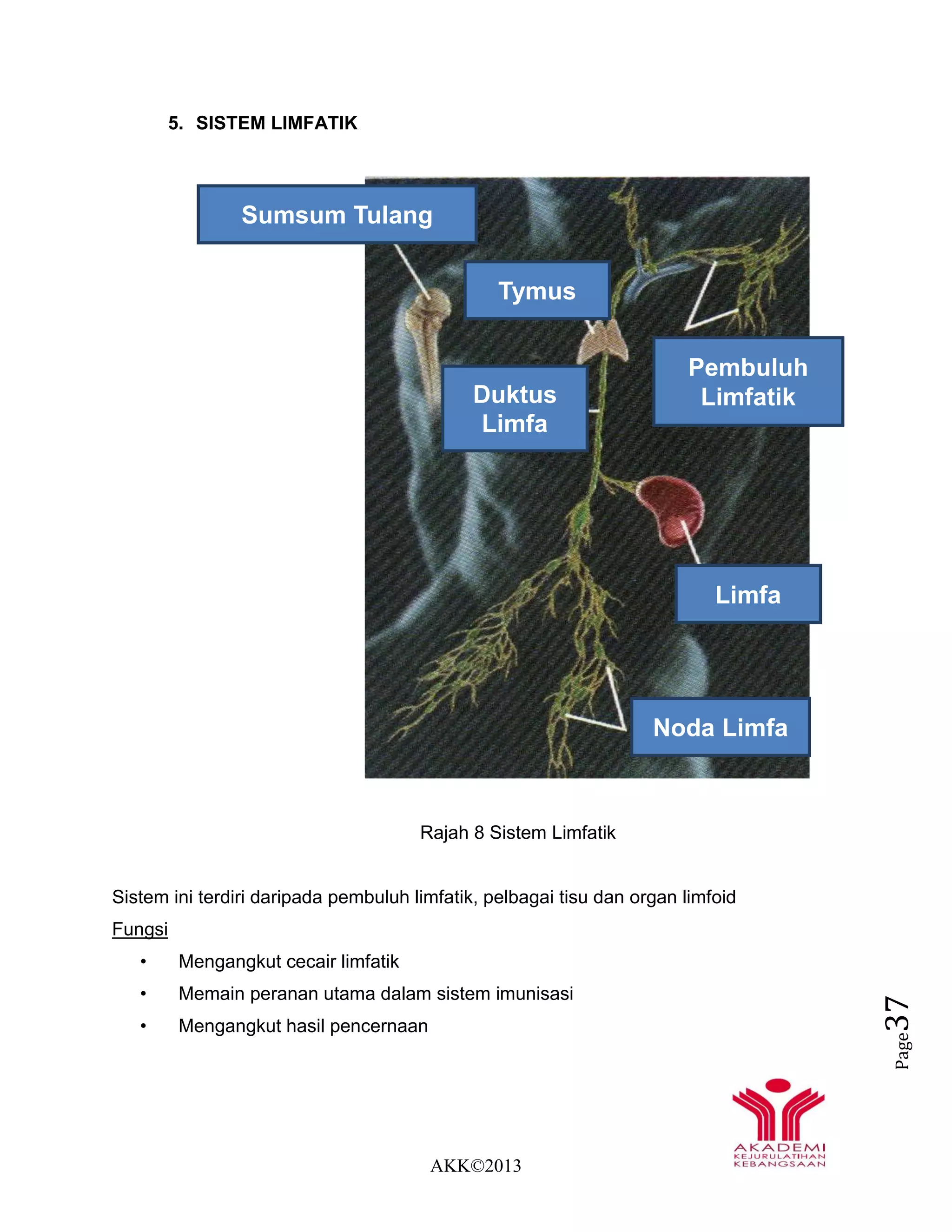 Nota sains sukan tahap i | PDF