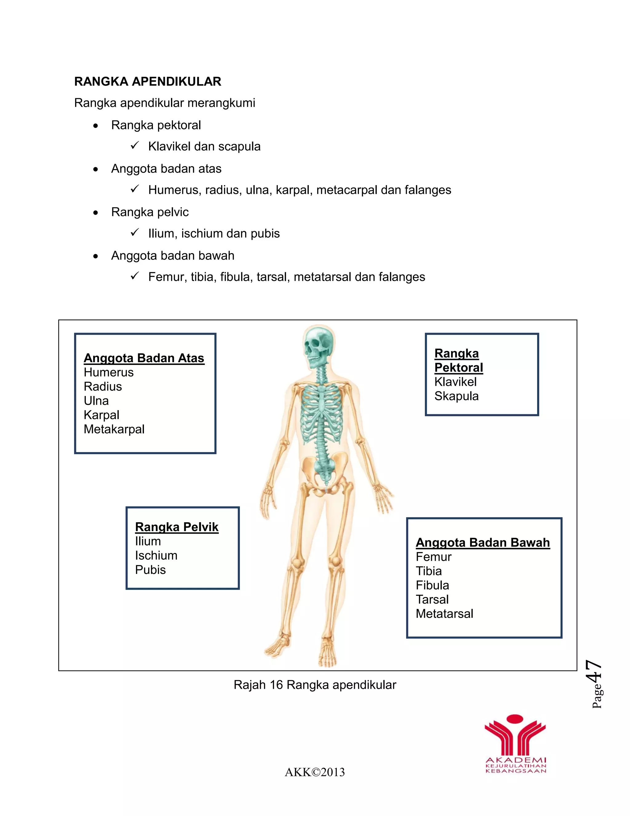 Nota sains sukan tahap i | PDF