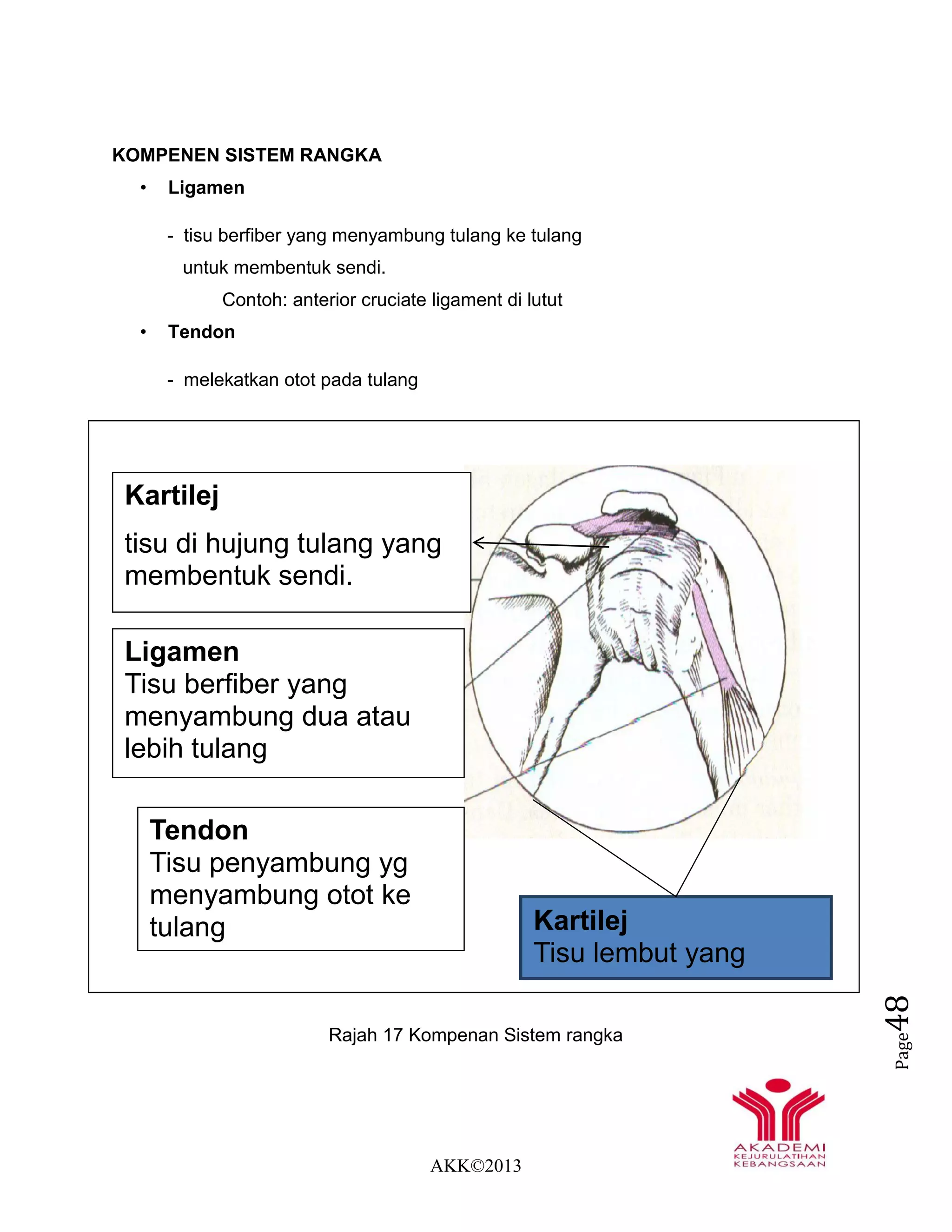 Nota sains sukan tahap i | PDF