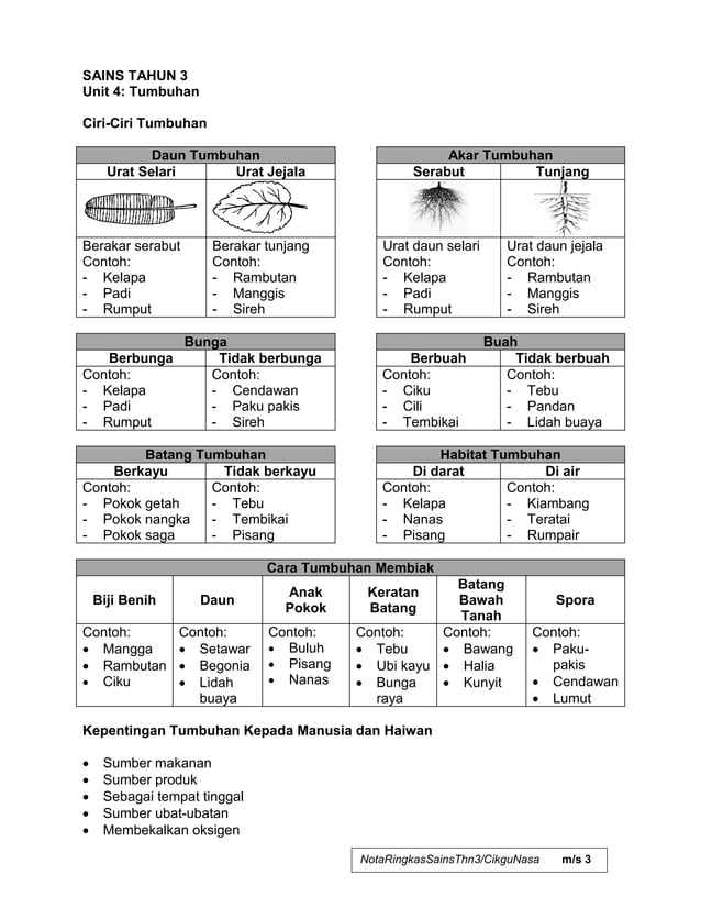 NOTA SAINS TAHUN 3 untuk ulangkaji peperiksaan | PDF