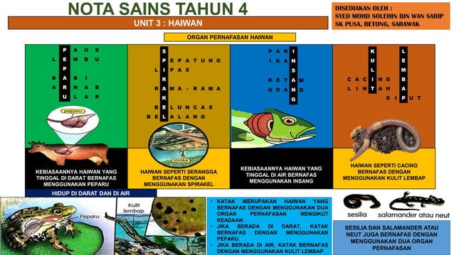 NOTA SAINS TAHUN 4 PDF.pdf