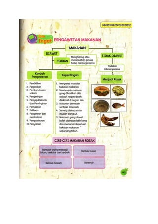 Nota sains tahun 6 pengawetan makanan | PDF
