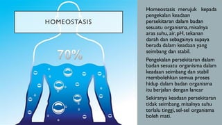 nota sains bab homeostasis tingkatan 1 kssm | PDF