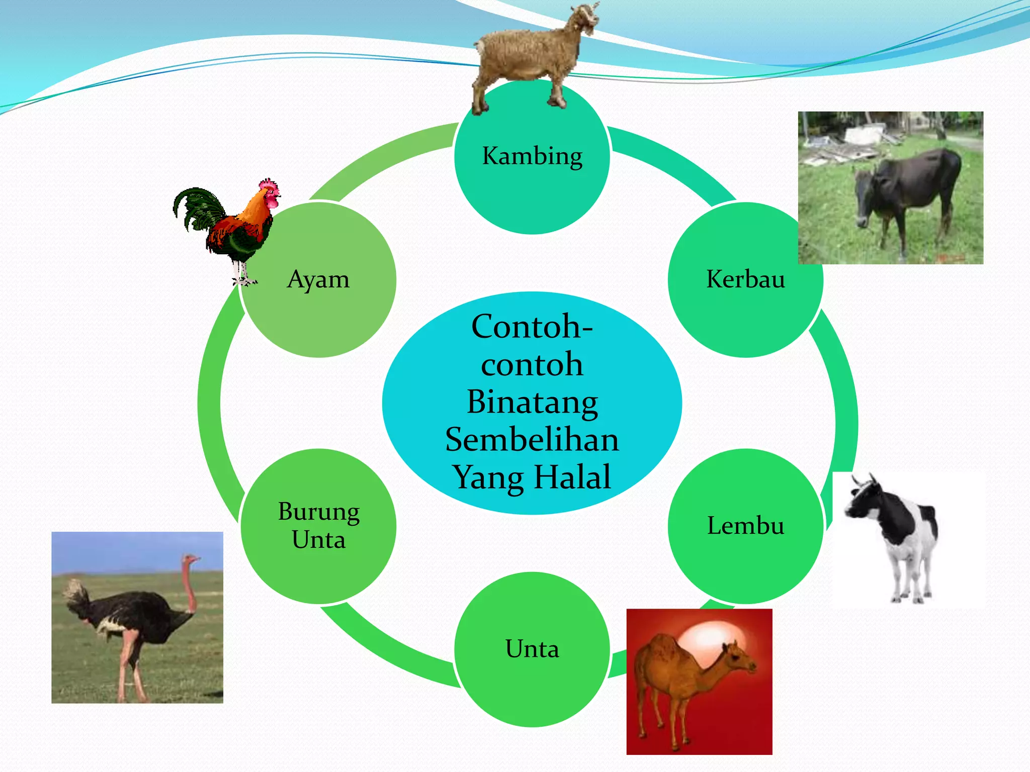 Nota Sembelihan | PPTX