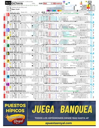 Notas Hípicas por Elvis Quinta La Rinconada 011224.pdf