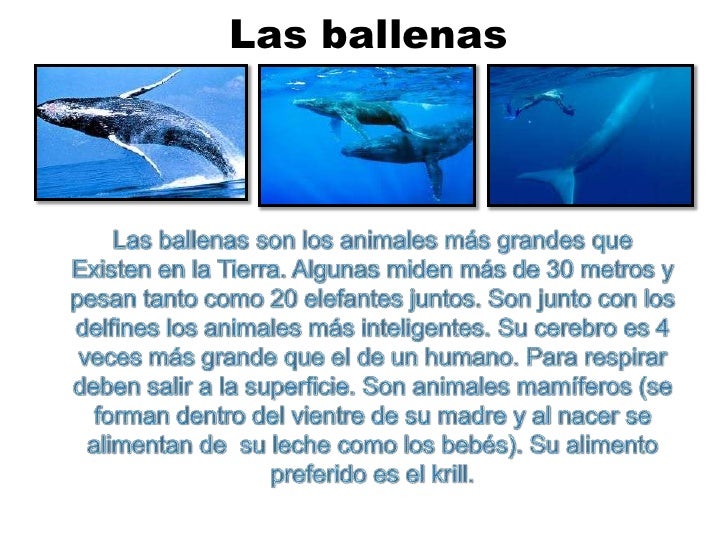 Texto informativo para niños - Imagui