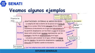 Notas marginales o notas al margen | PPTX